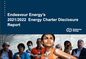 Customers in focus | Endeavour Energy